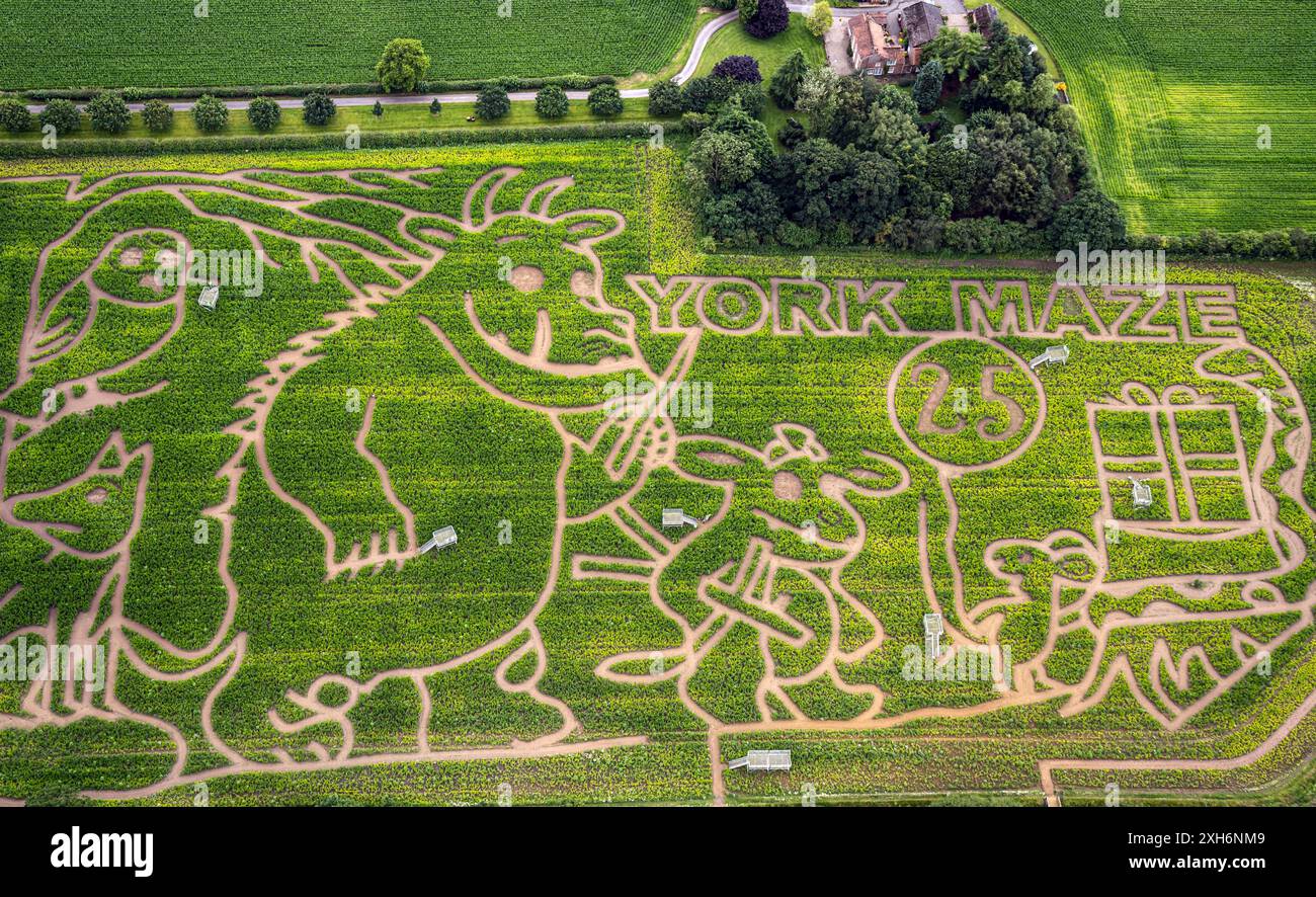 An aerial view of this year's York Maze which is celebrating 25 Years ...