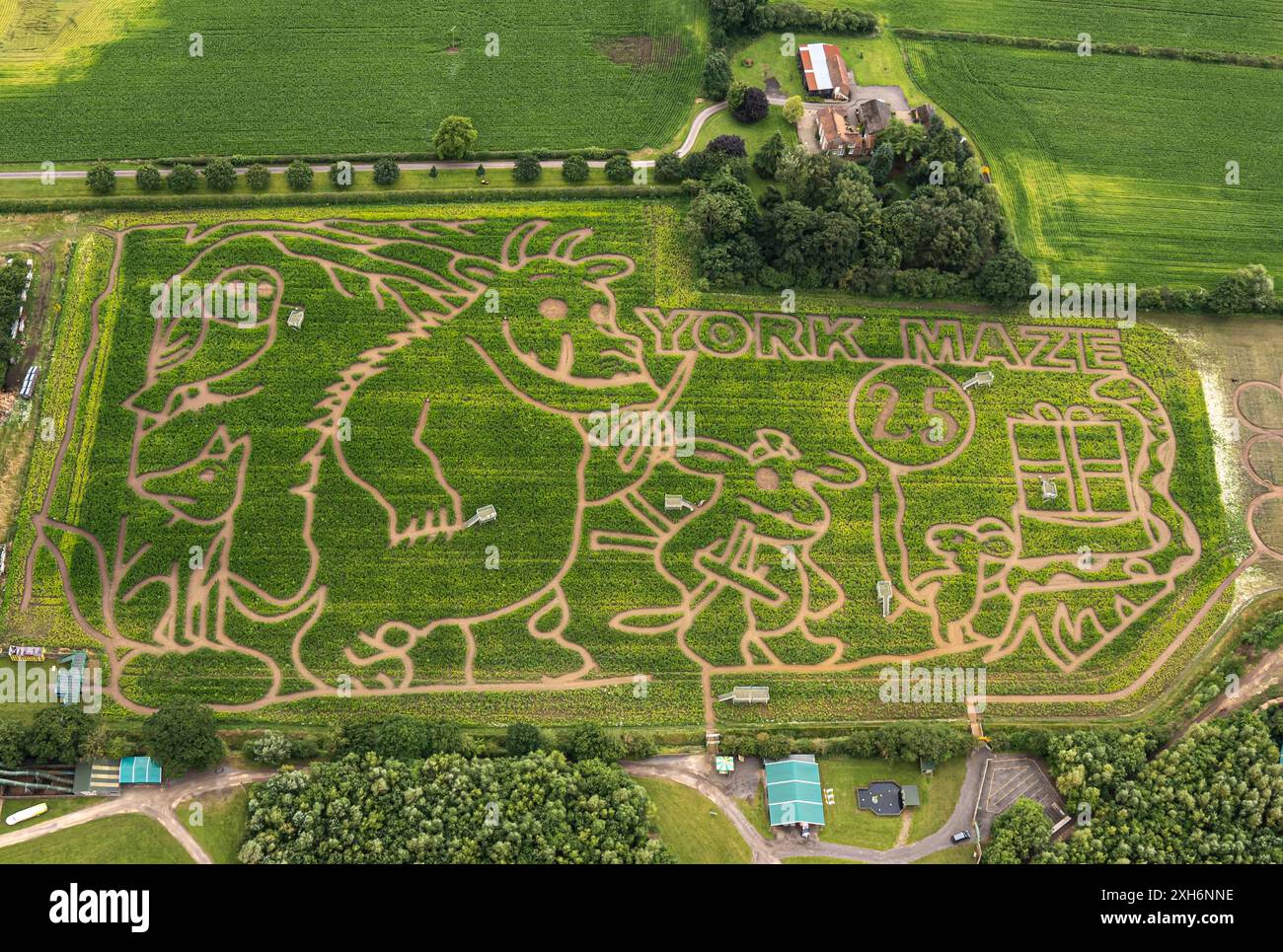 An aerial view of this year's York Maze which is celebrating 25 Years ...
