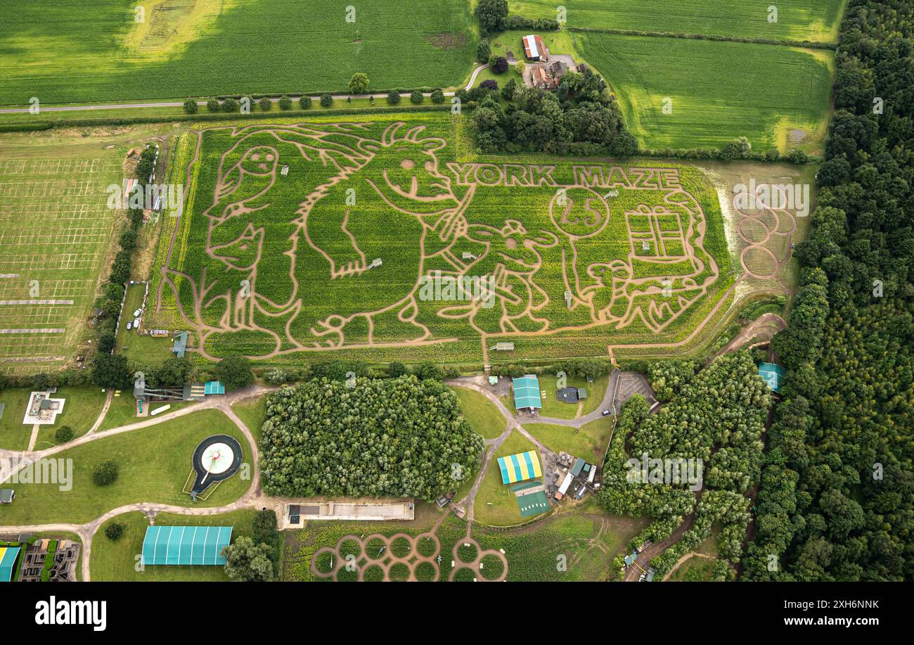 An aerial view of this year's York Maze which is celebrating 25 Years ...