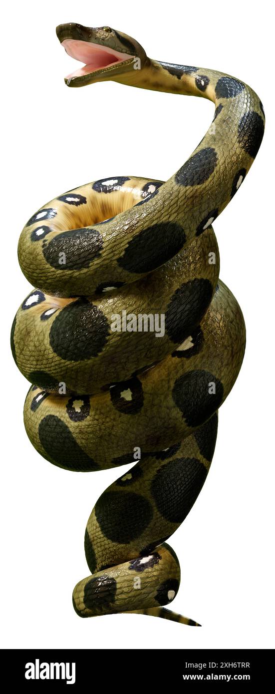 3D rendering of a green anaconda or Eunectes murinus or common anaconda ...