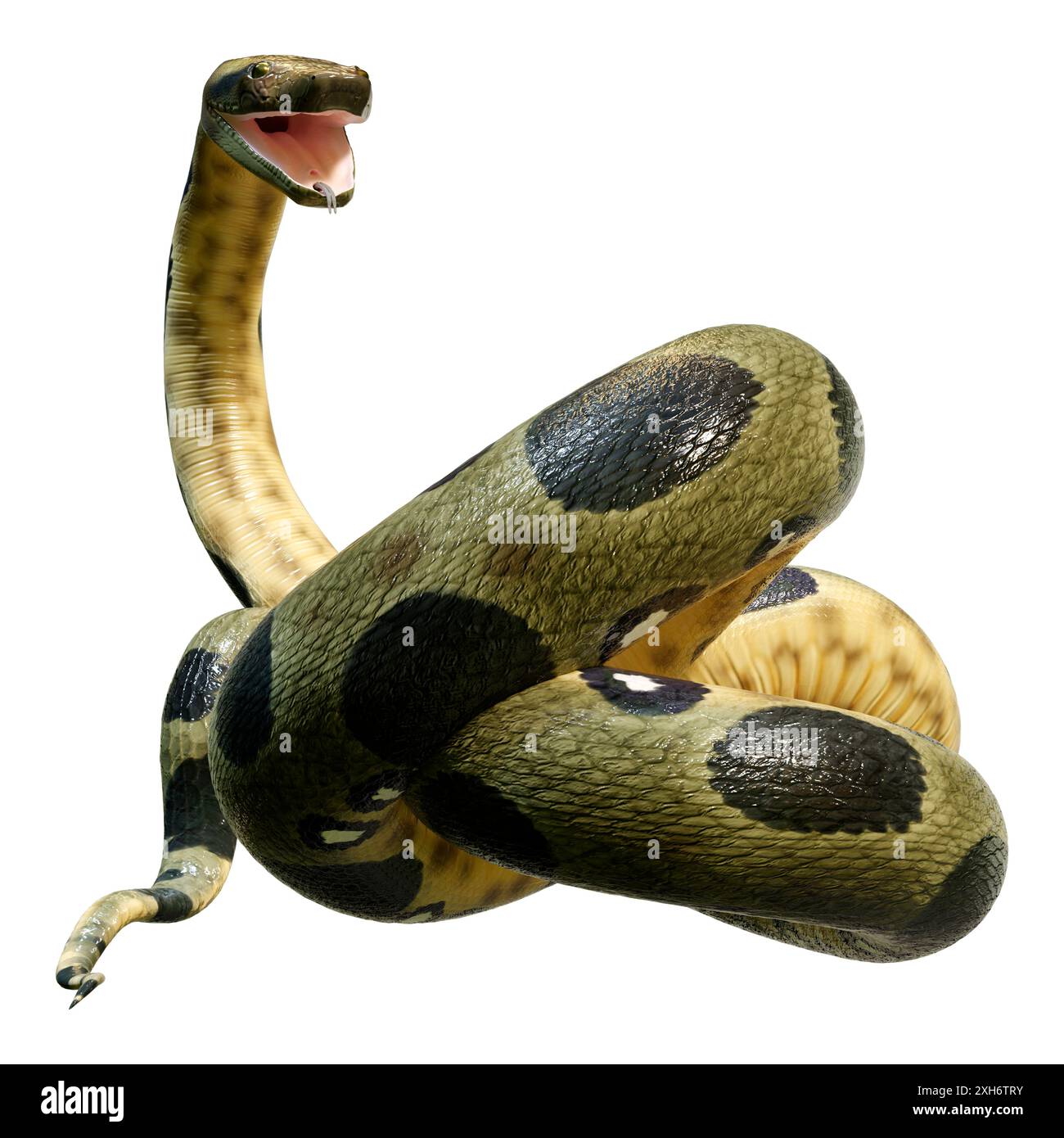 3D rendering of a green anaconda or Eunectes murinus or common anaconda ...