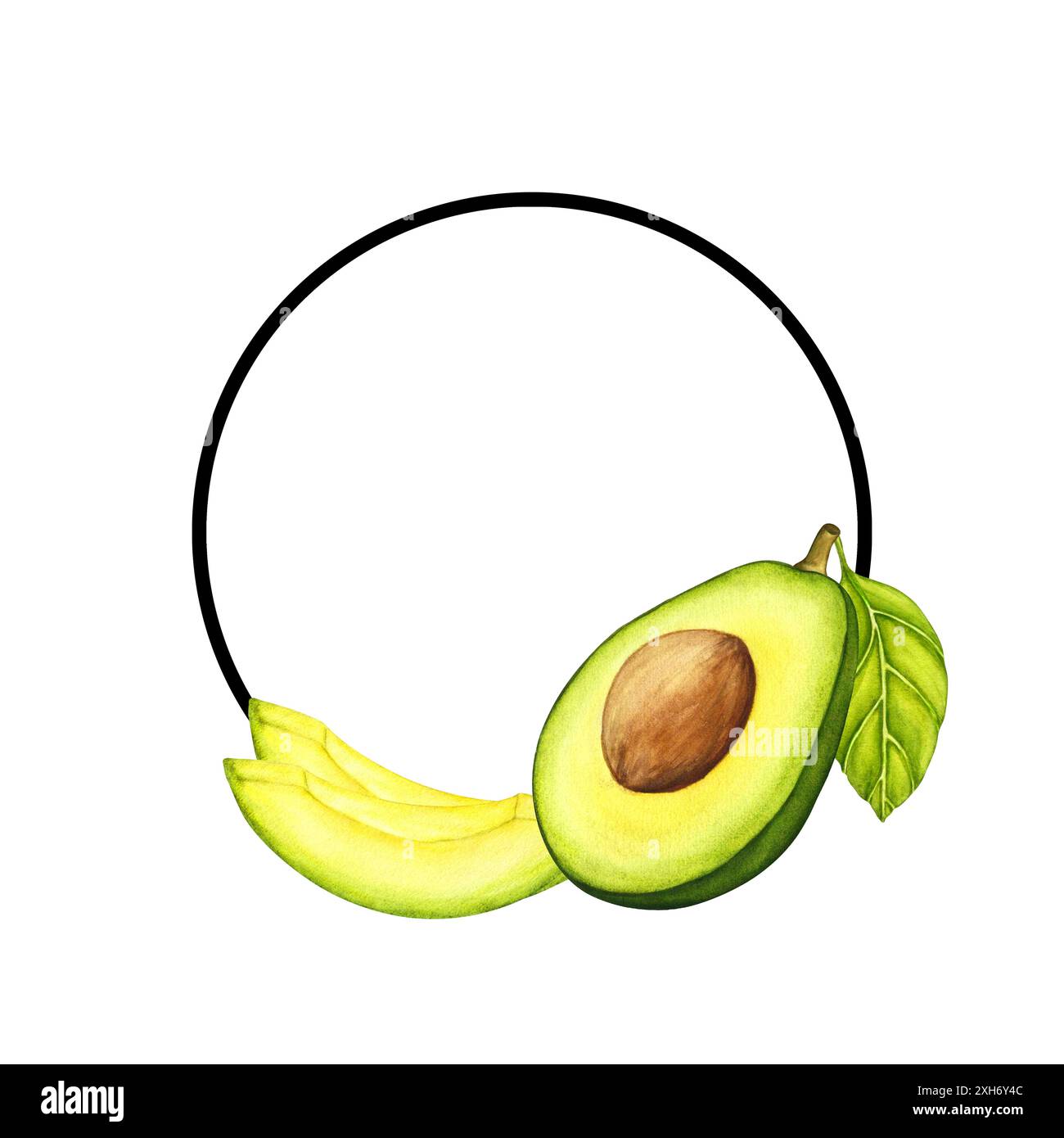 Round Avocado Frame. Watercolor illustration from leaves and Fruits ...