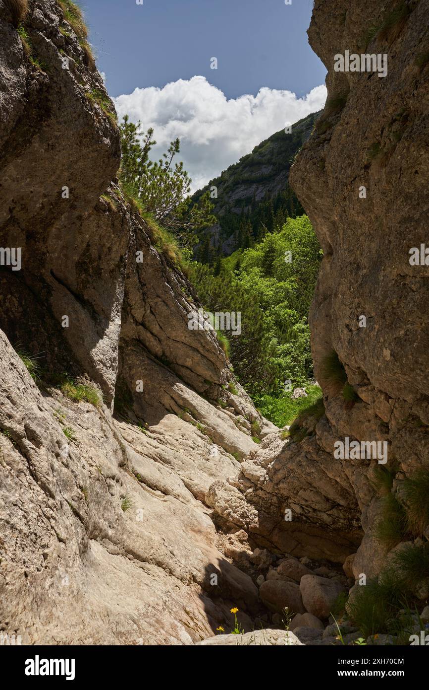 Dried up river gorge hi-res stock photography and images - Alamy
