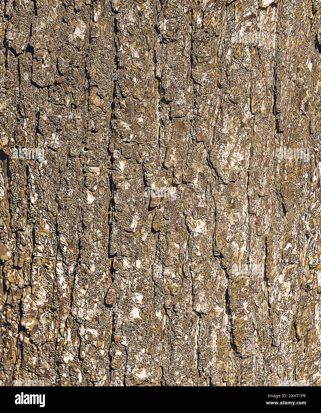 Vector illustration Background of Turkish hazel bark. Latin name ...