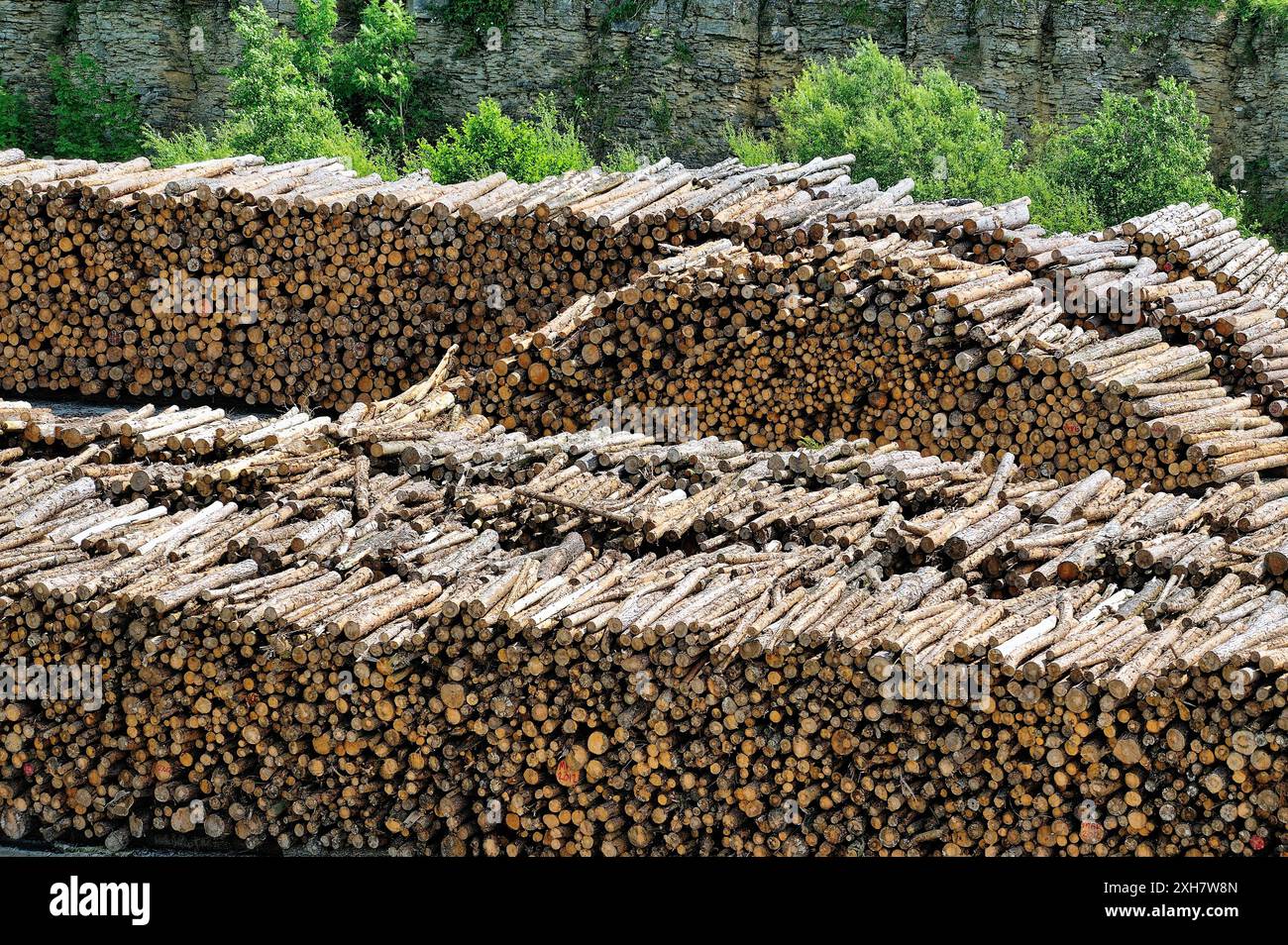 Much activity hi-res stock photography and images - Alamy