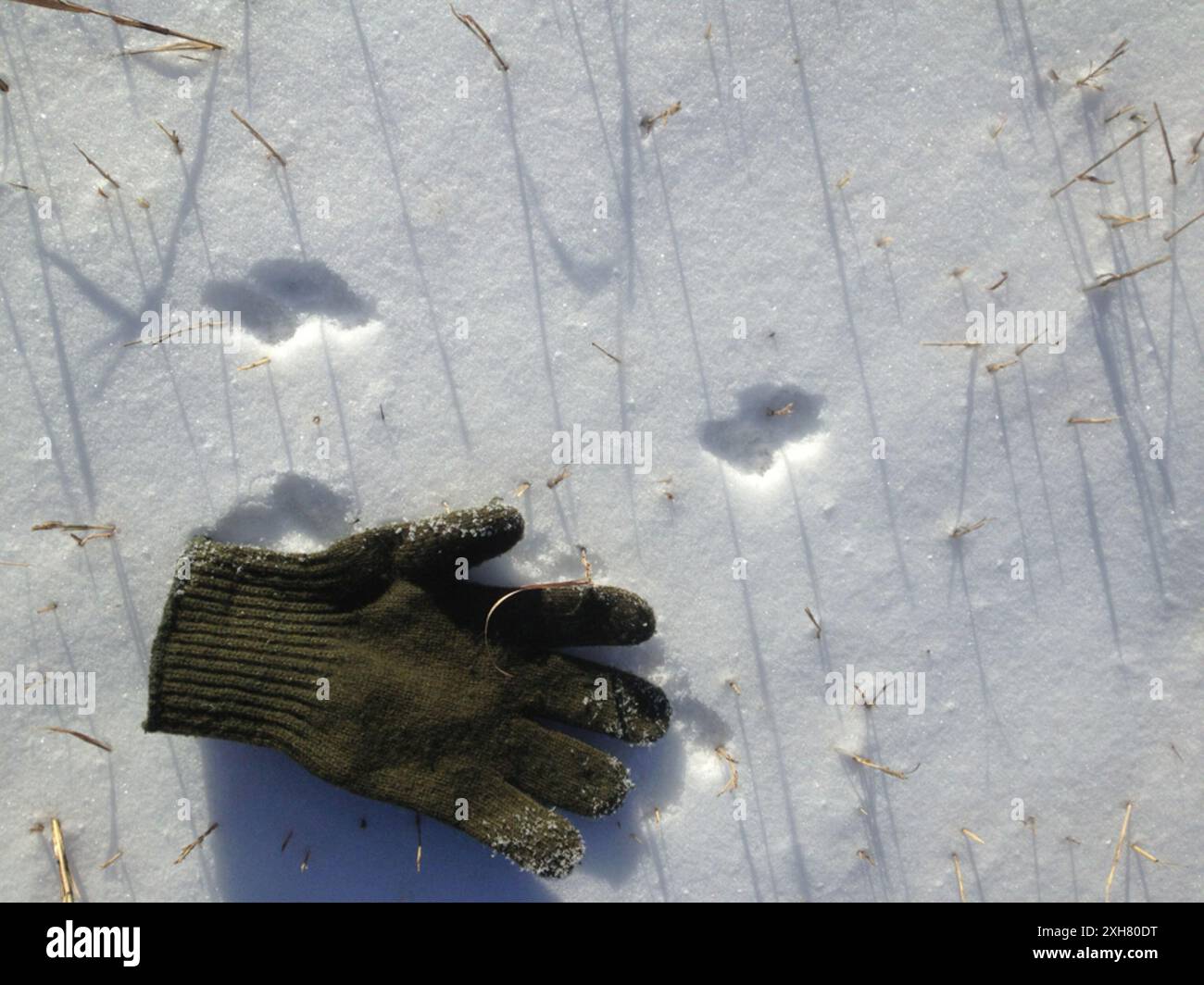 Marsh billings vermont hi-res stock photography and images - Alamy