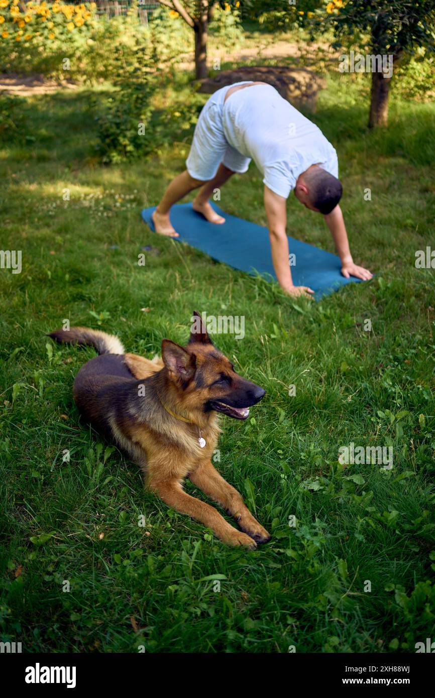 Man somatic exercises dog in hi-res stock photography and images - Alamy
