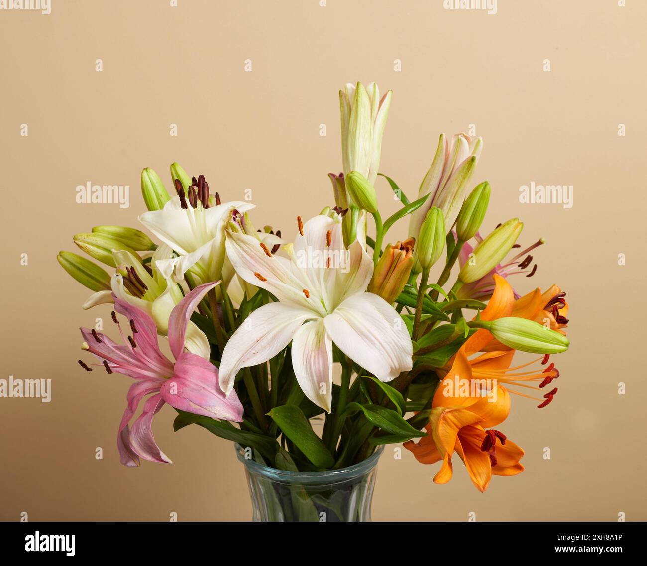 Bright, dark and moody photographs of beautiful Lilies!! Stock Photo ...