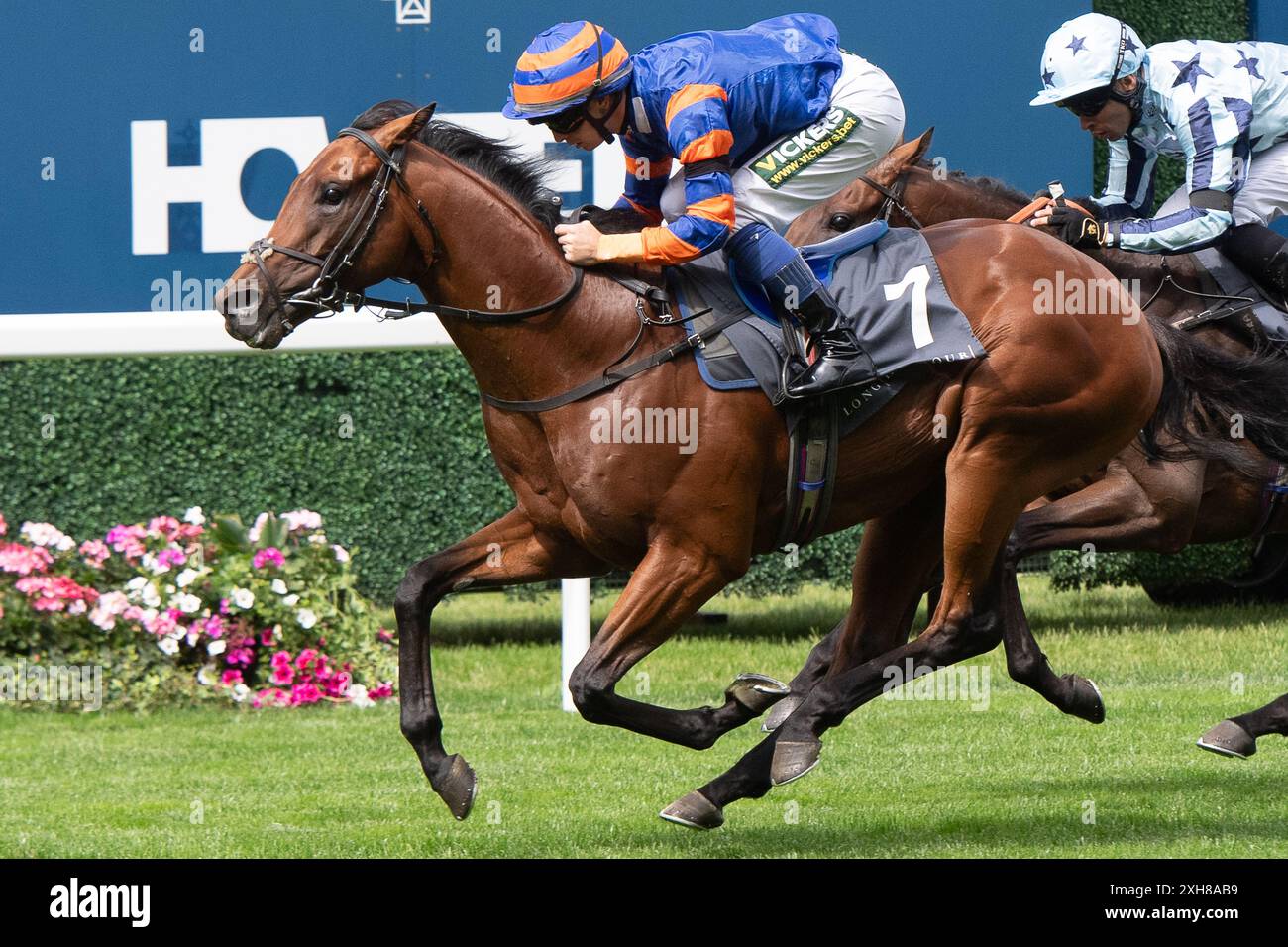 Owner assad al banwan hi-res stock photography and images - Alamy