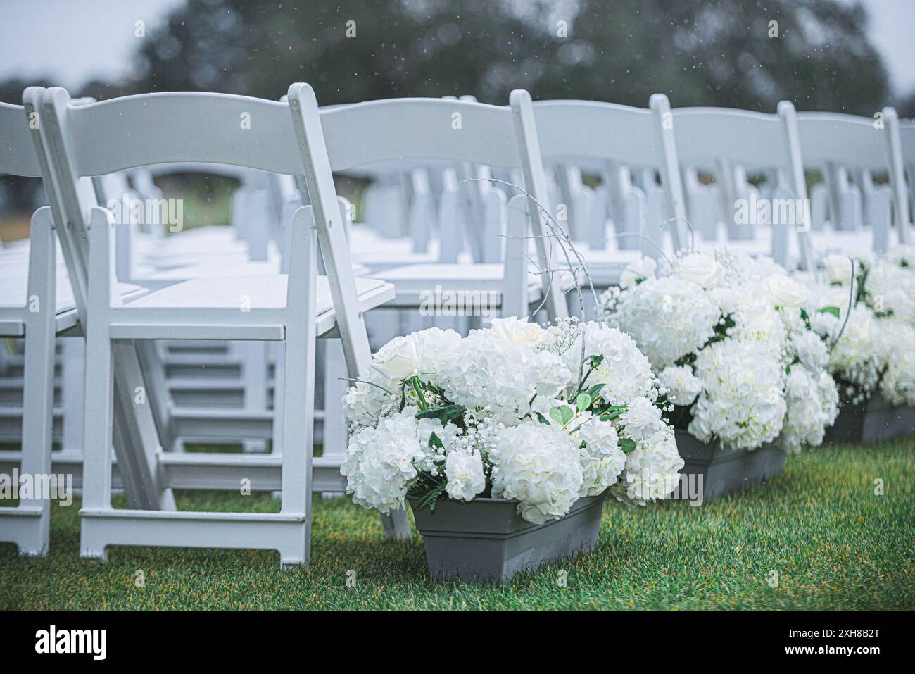 Lush green wedding isle with white chairs and rows of hydrangea lined ...