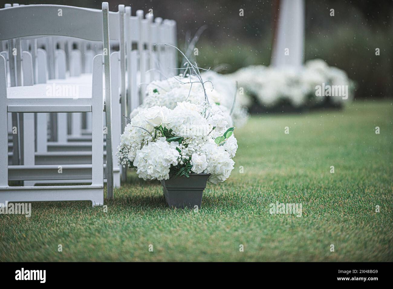Lush green wedding isle with white chairs and rows of hydrangea lined ...