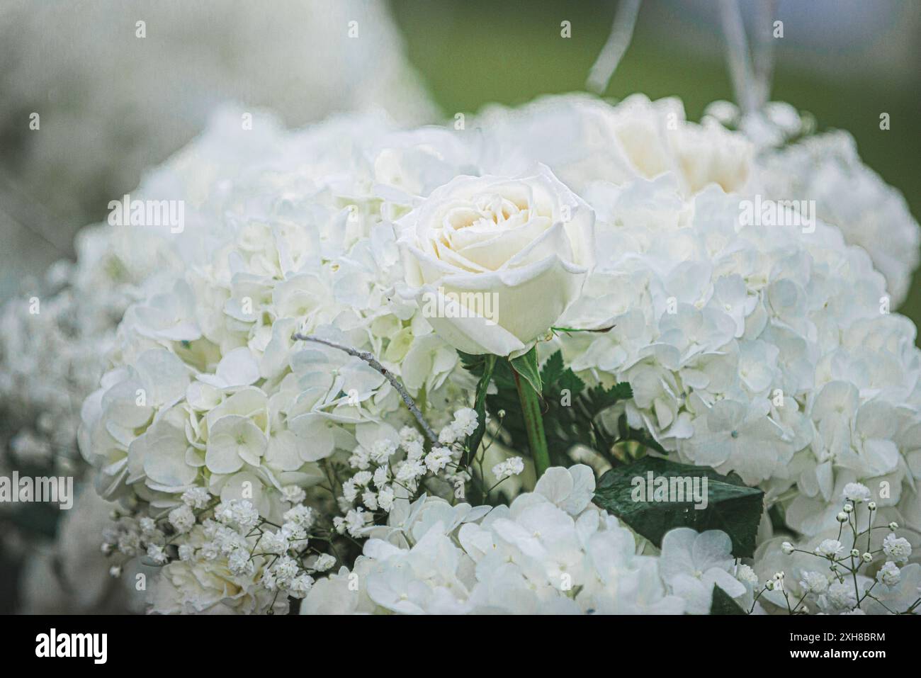 White hydrangea wedding floral hi-res stock photography and images - Alamy