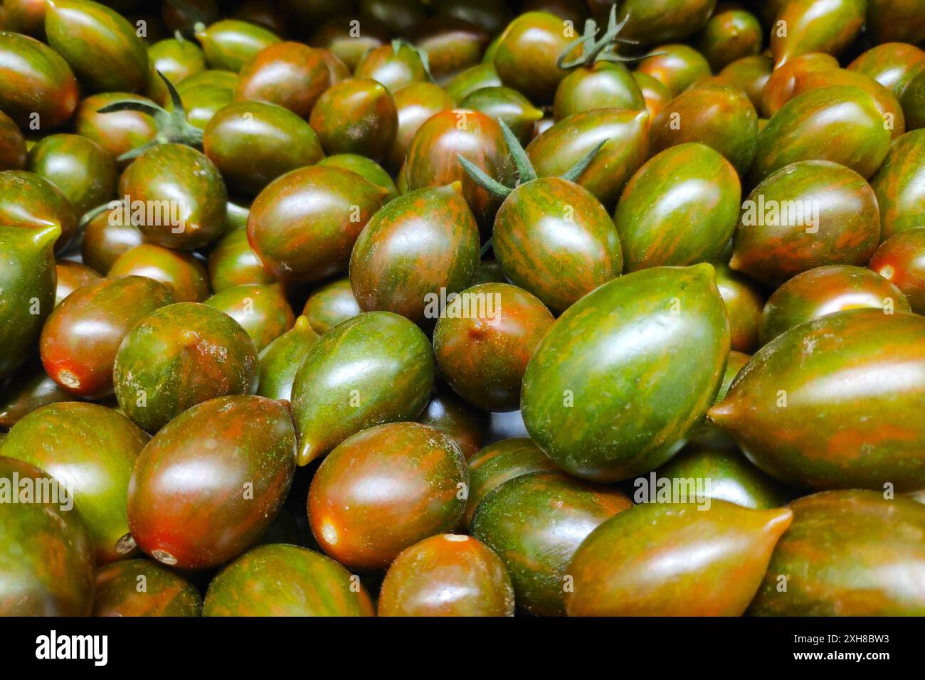 Tomato crispino plum hi-res stock photography and images - Alamy