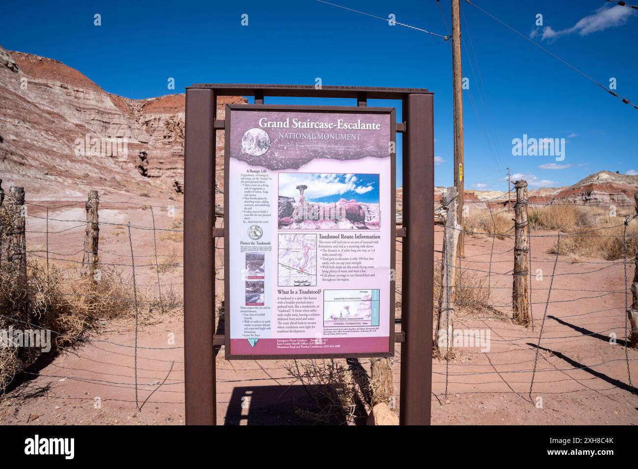 Toadstools trailhead hi-res stock photography and images - Alamy