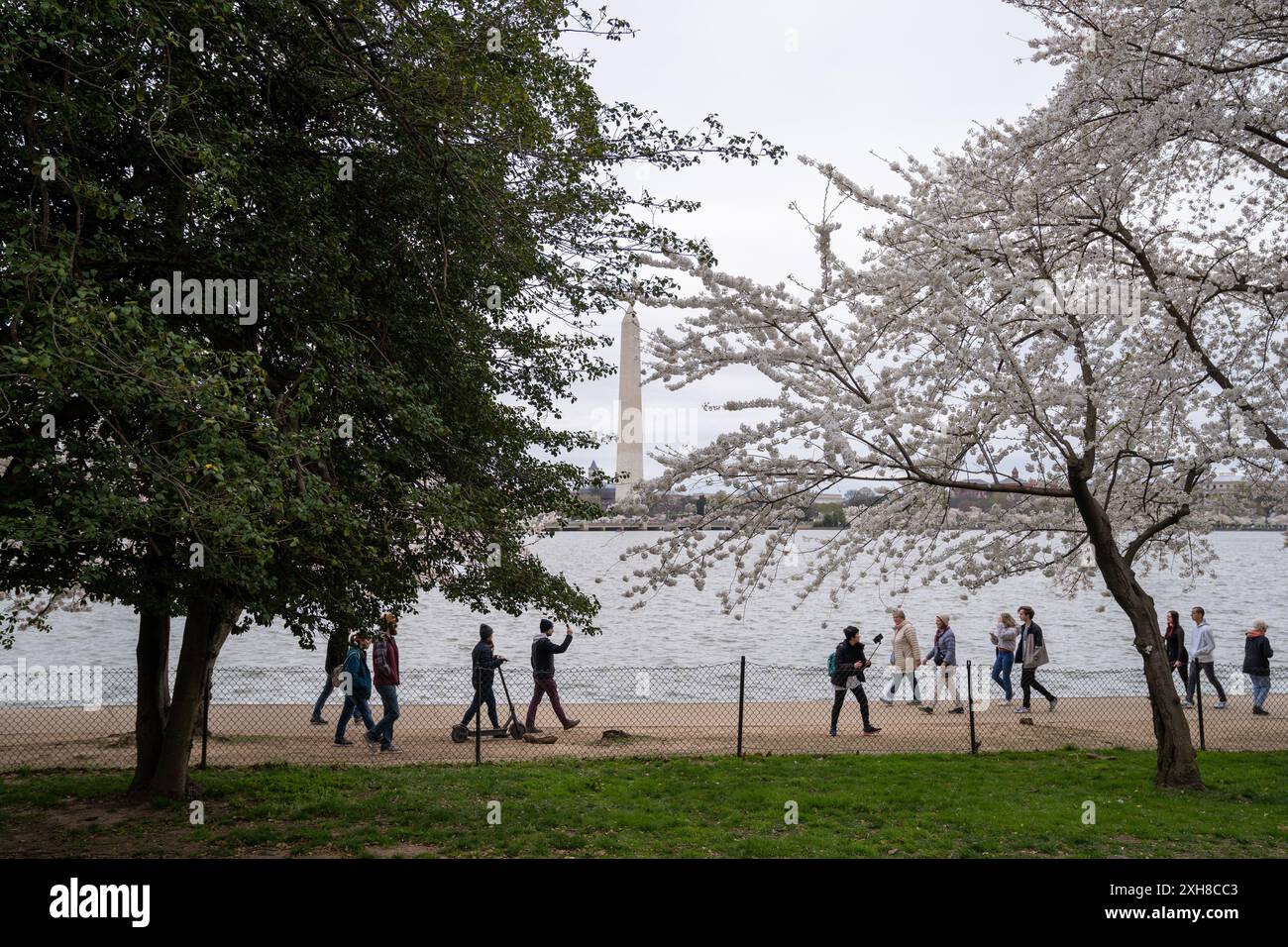 Washington, DC - March 22, 2024: Crowds of people walking around the ...