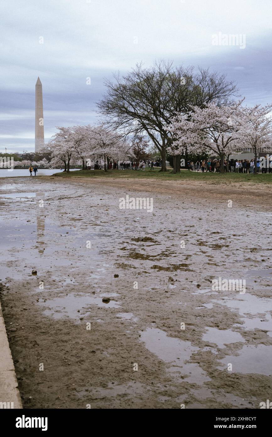 A flooded walkway at the tidal basin in Washington DC. A new ...