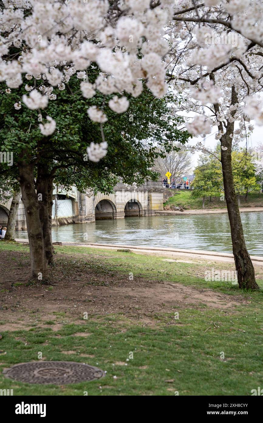 View of the Ohio Drive Bridge across the Tidal Basin in Washington DC ...
