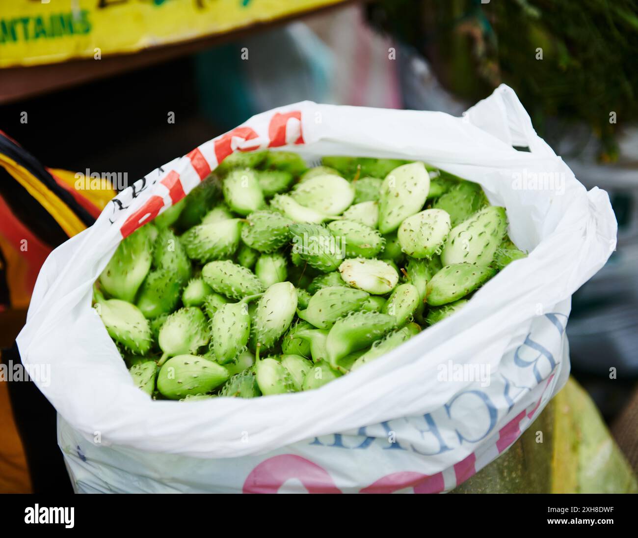 Food Caigua also known as Achocha Slipper gourd Sparrow gourd ...
