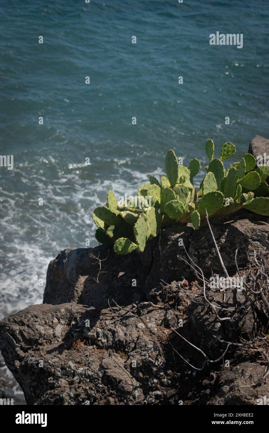 Pier rocks shore madeira portugal hi-res stock photography and images ...