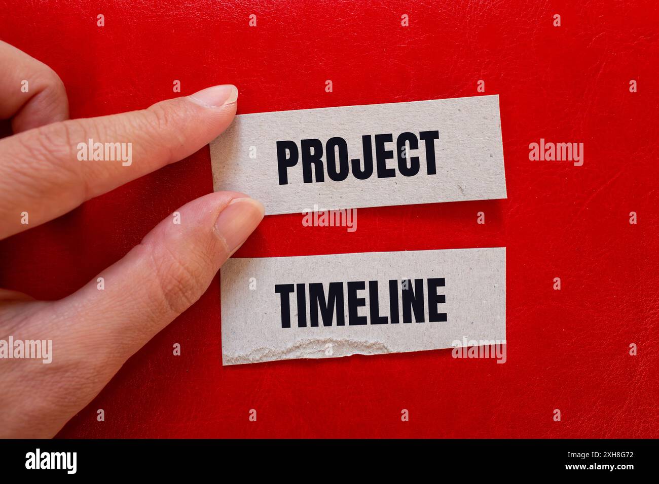 Project timeline message written on paper pieces with red background ...