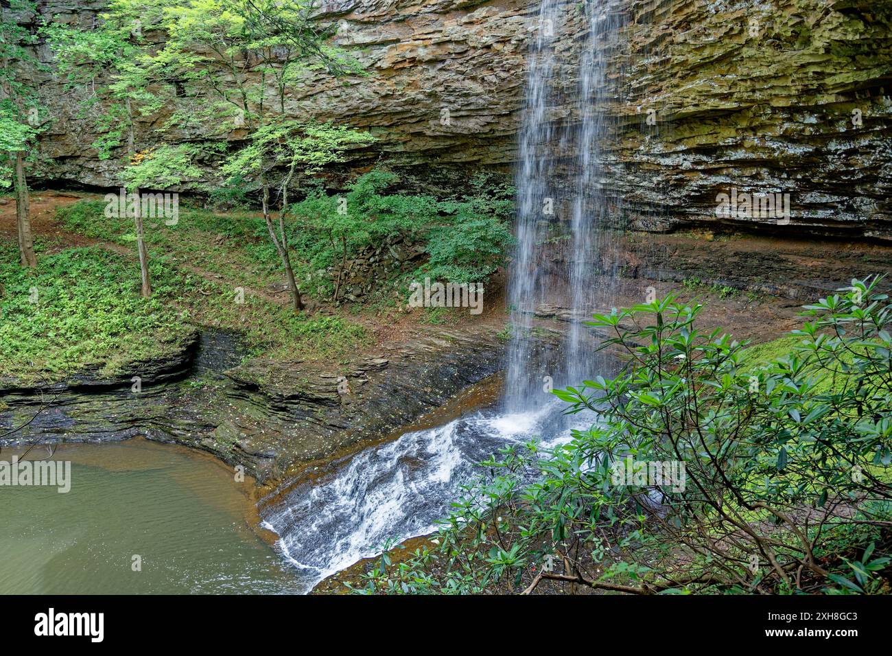 Standing in the canyon of the upper piney waterfall in middle Tennessee ...