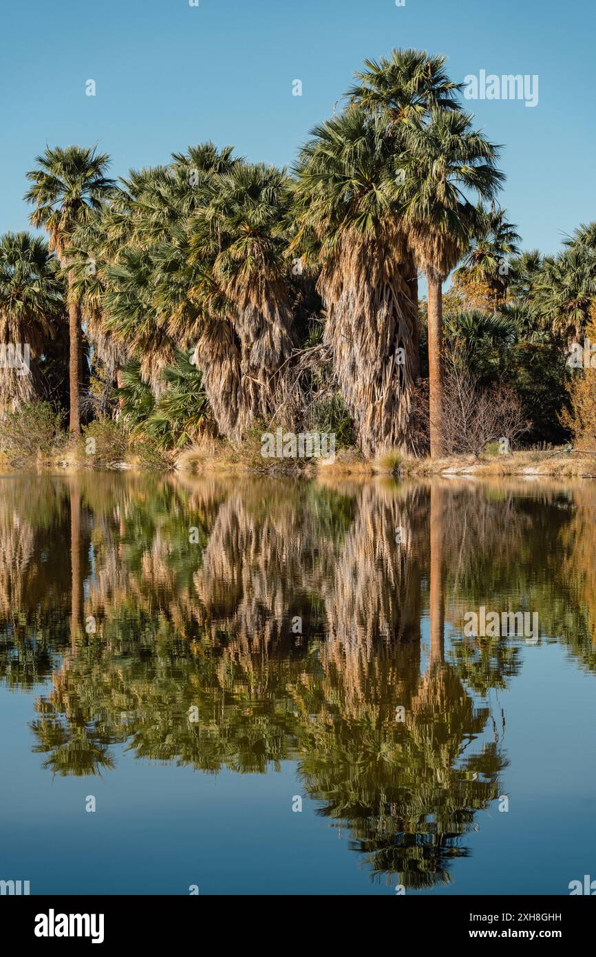 Agua Caliente Regional Park - Tucson Arizona Stock Photo - Alamy