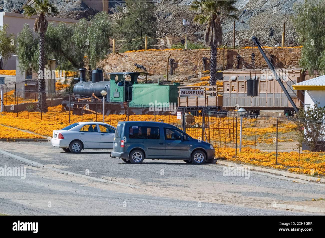 Nababeep, South Africa - September 6, 2007: Orange wild flowers ...