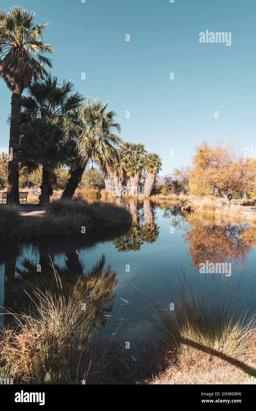 Agua Caliente Regional Park - Tucson Arizona Stock Photo - Alamy