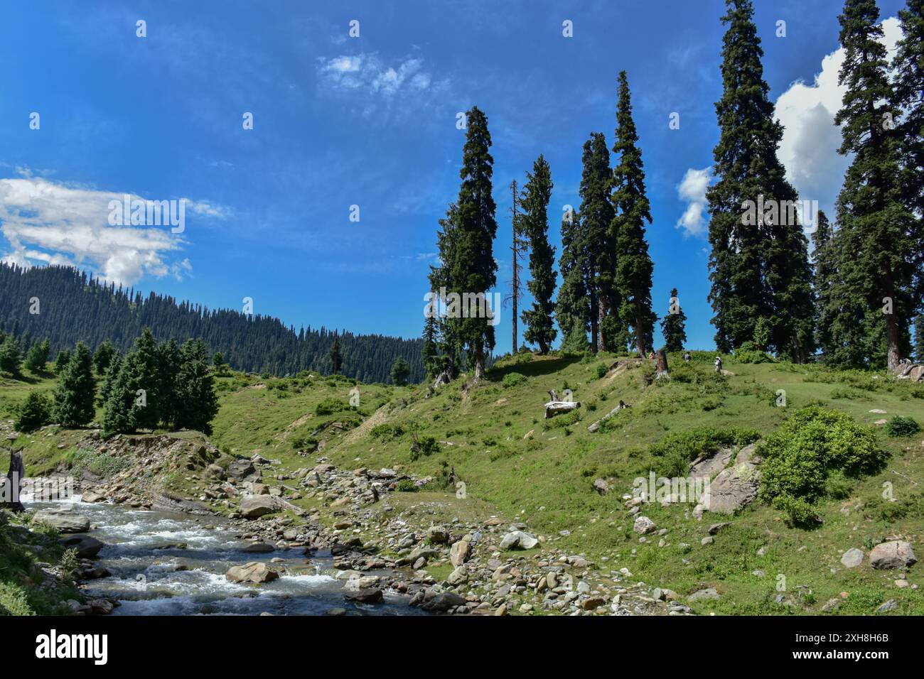 View of a stream across the hills during a sunny and hot summer day in ...