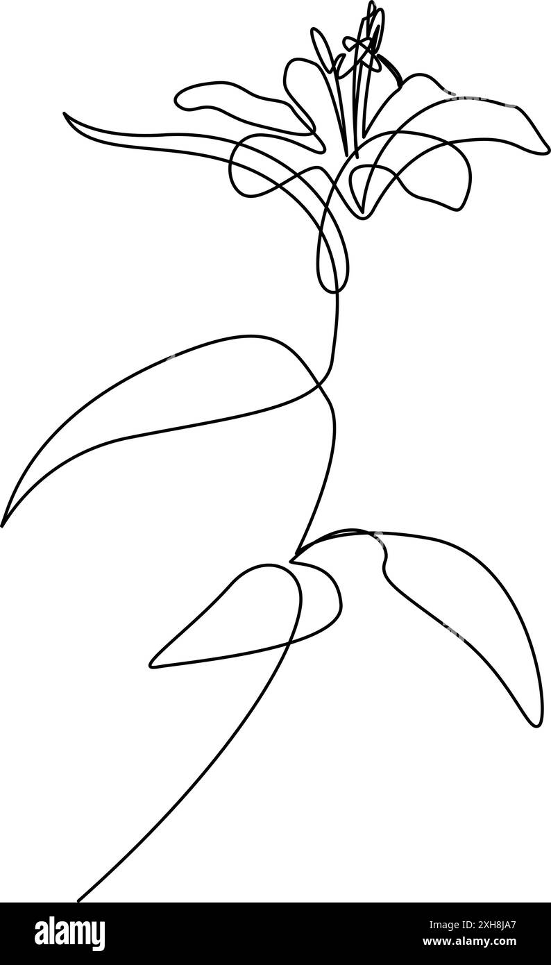 One continuous line drawing of elegant lily flower. Floral design drawn ...