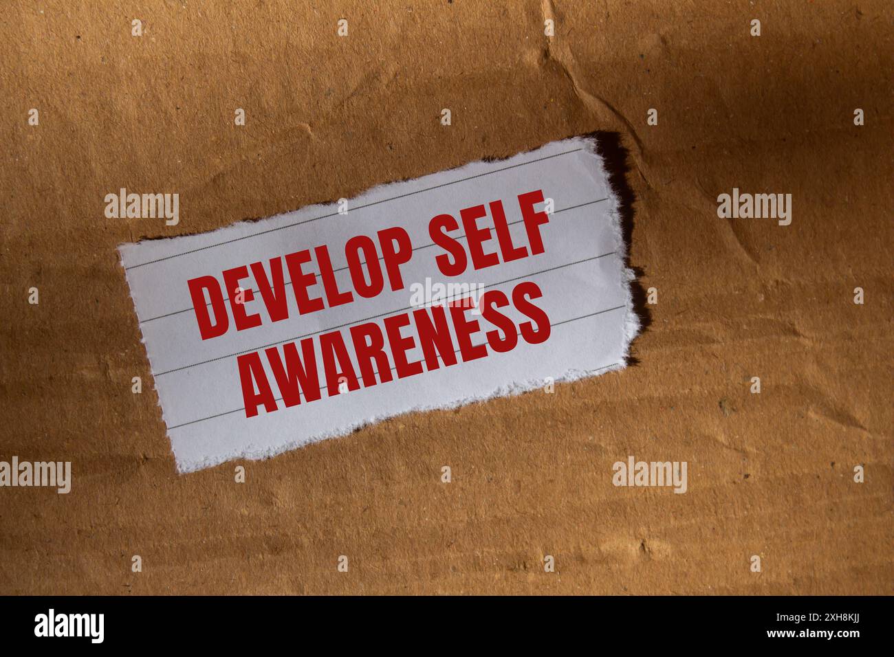 Develop self awareness message written on ripped torn white paper piece with cardboard ...