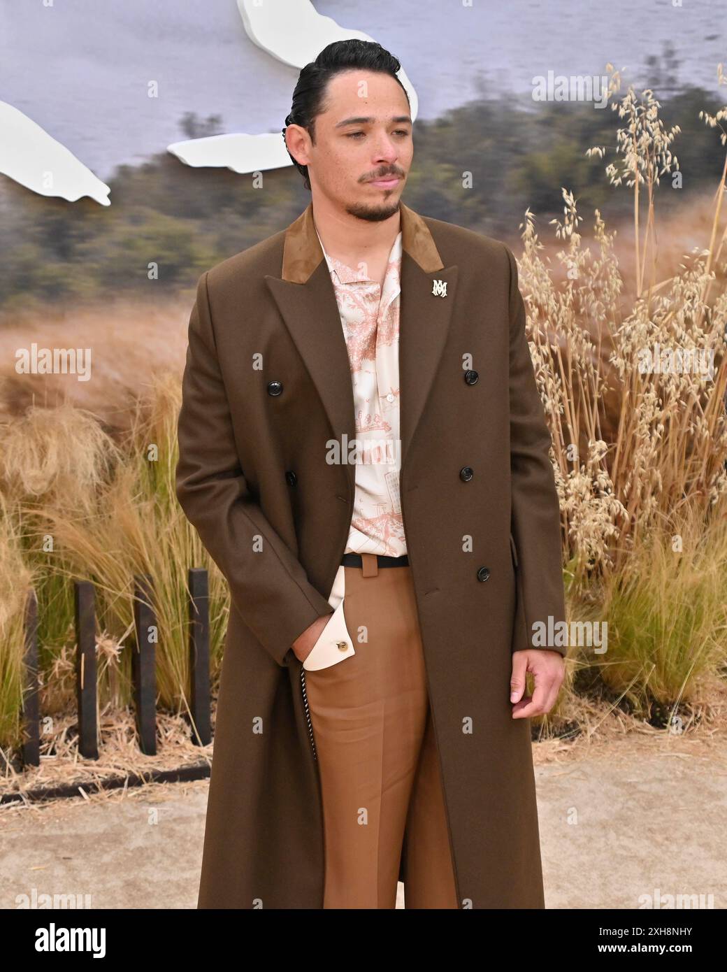 Westwood, CA USA - July 11, 2024: Anthony Ramos attends the premiere of ...