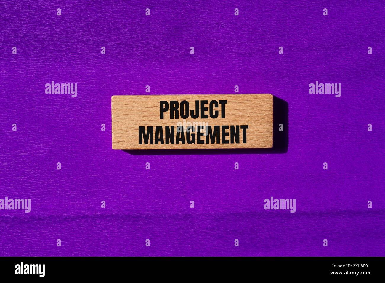 Project management message written on wooden blocks with purple ...