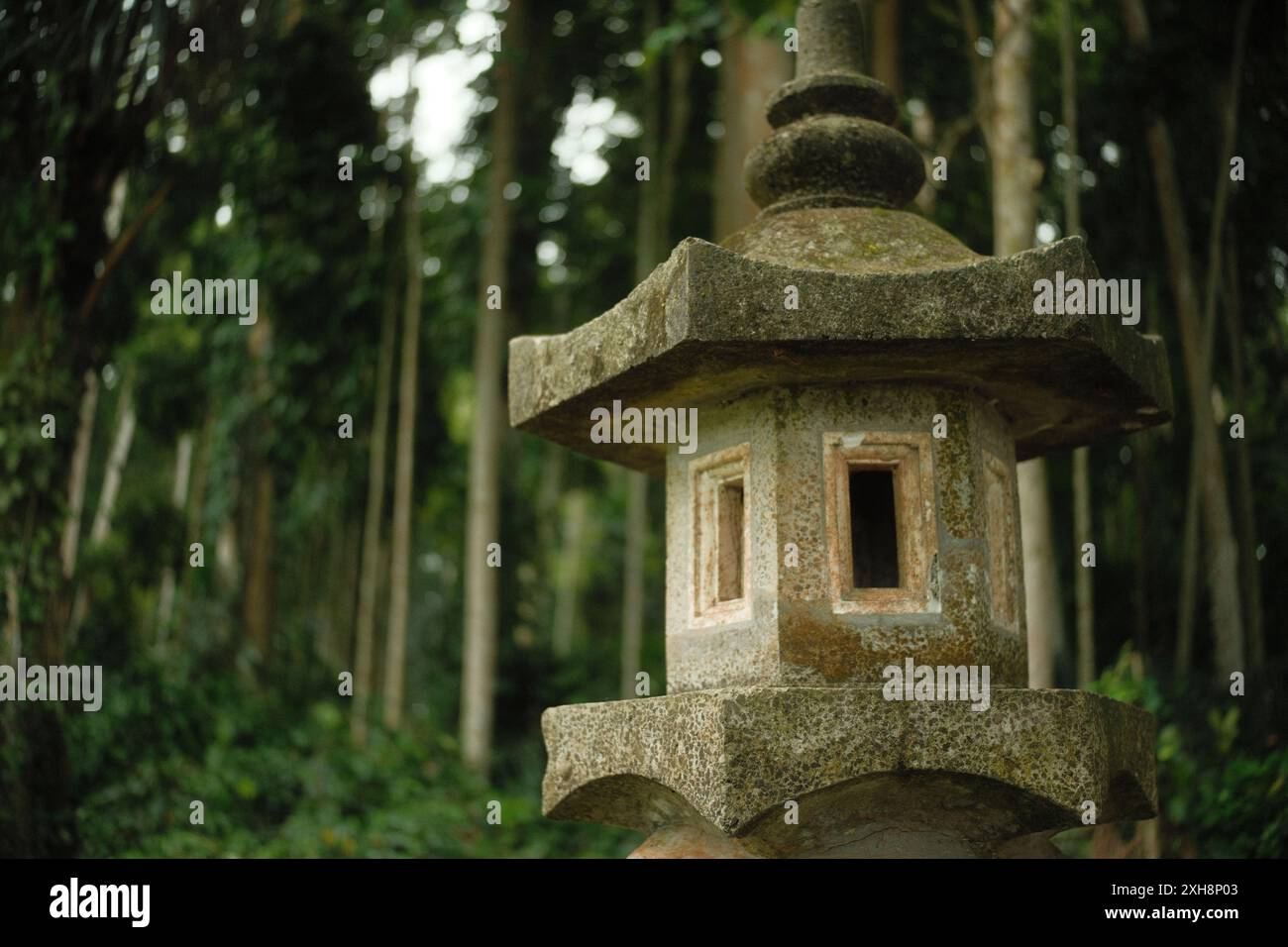 Shrine in middle forest hi-res stock photography and images - Alamy