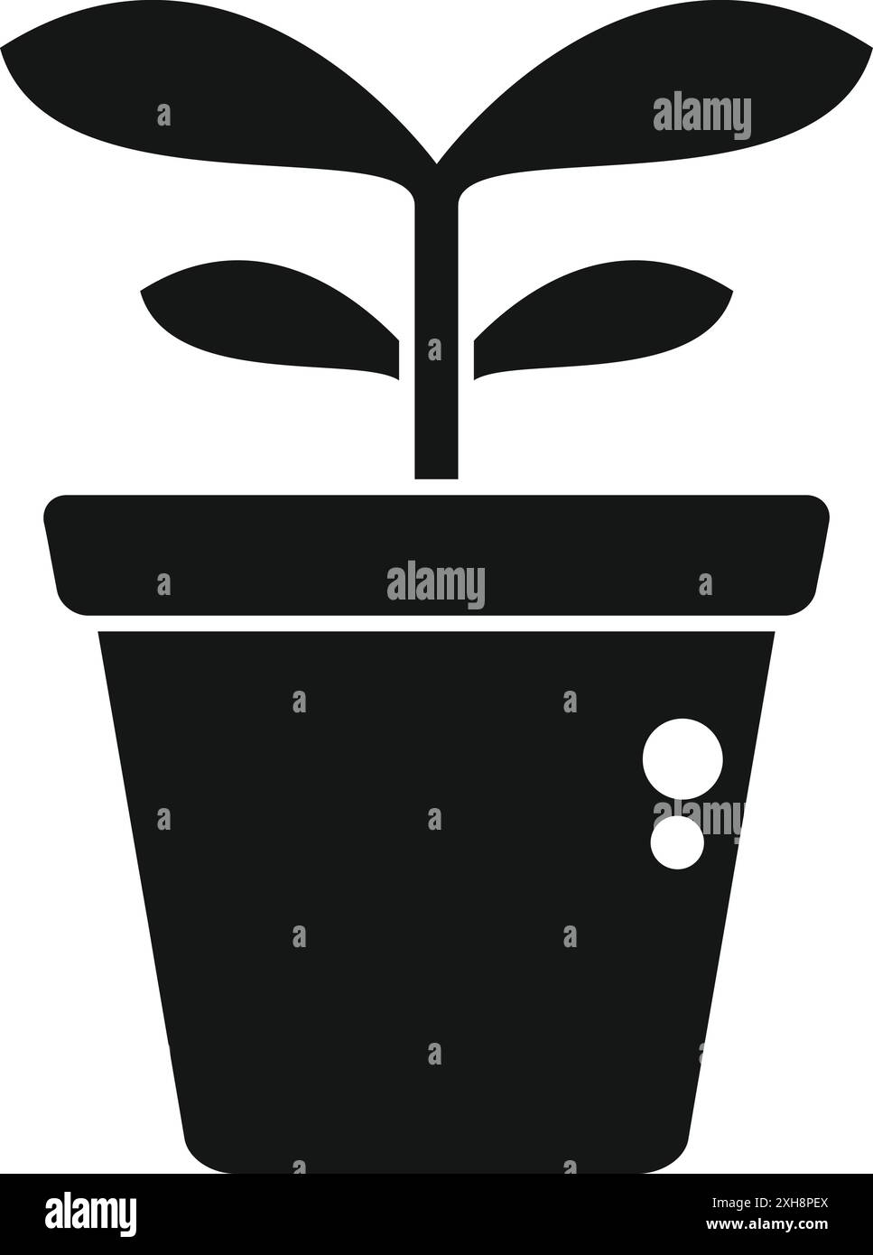 The life cycle of a plant Stock Vector Images - Alamy