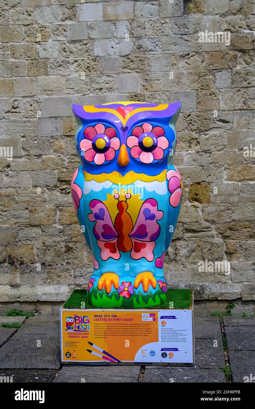 The Big Hoot Owl Sculpture Trail Chichester England a Wild in Art Event ...