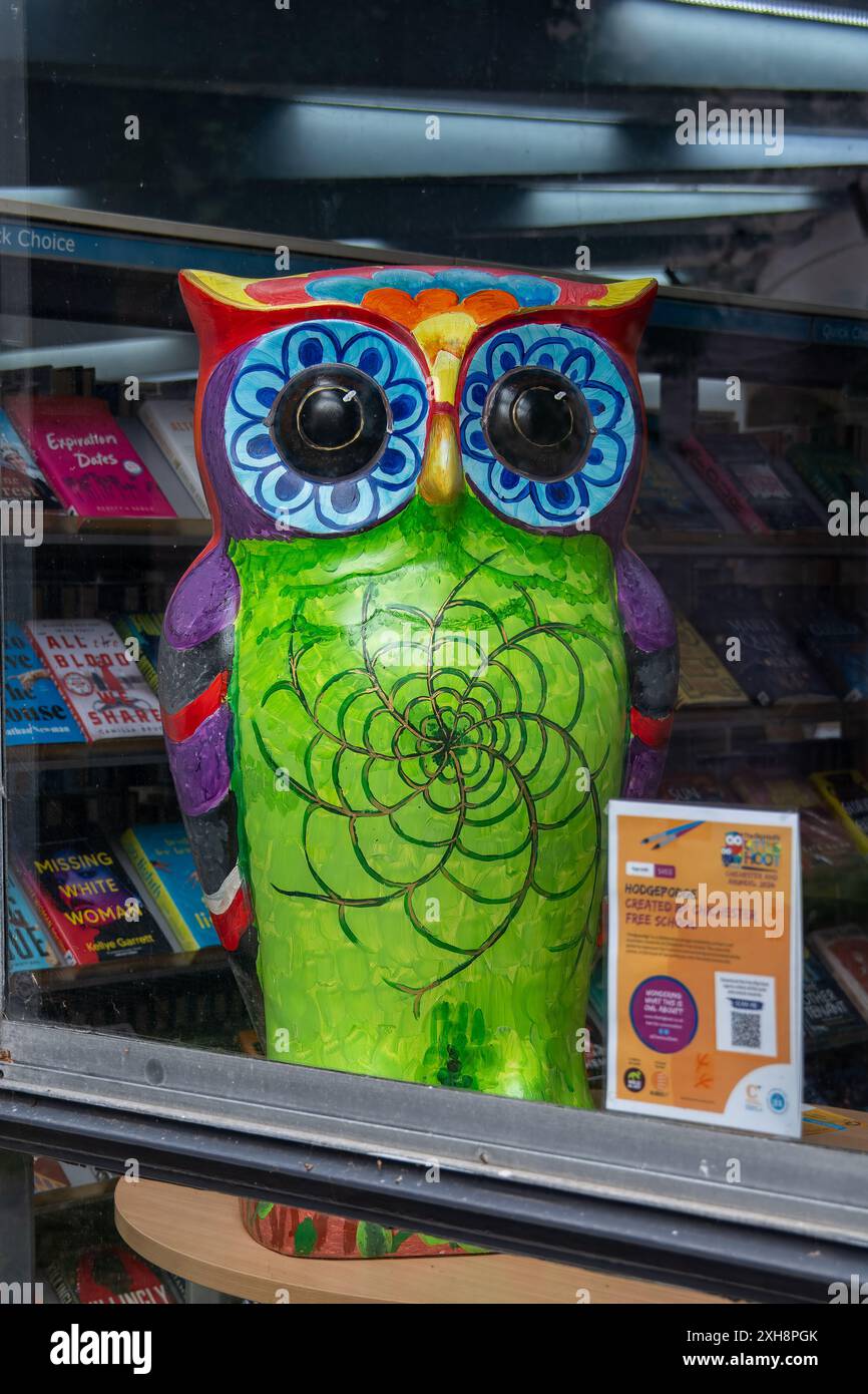 The Big Hoot Owl Sculpture Trail Chichester England a Wild in Art Event ...