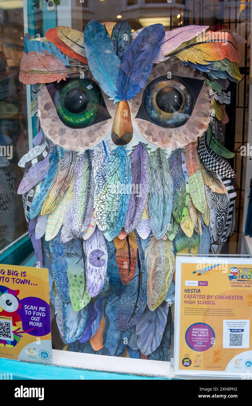 The Big Hoot Owl Sculpture Trail Chichester England a Wild in Art Event ...