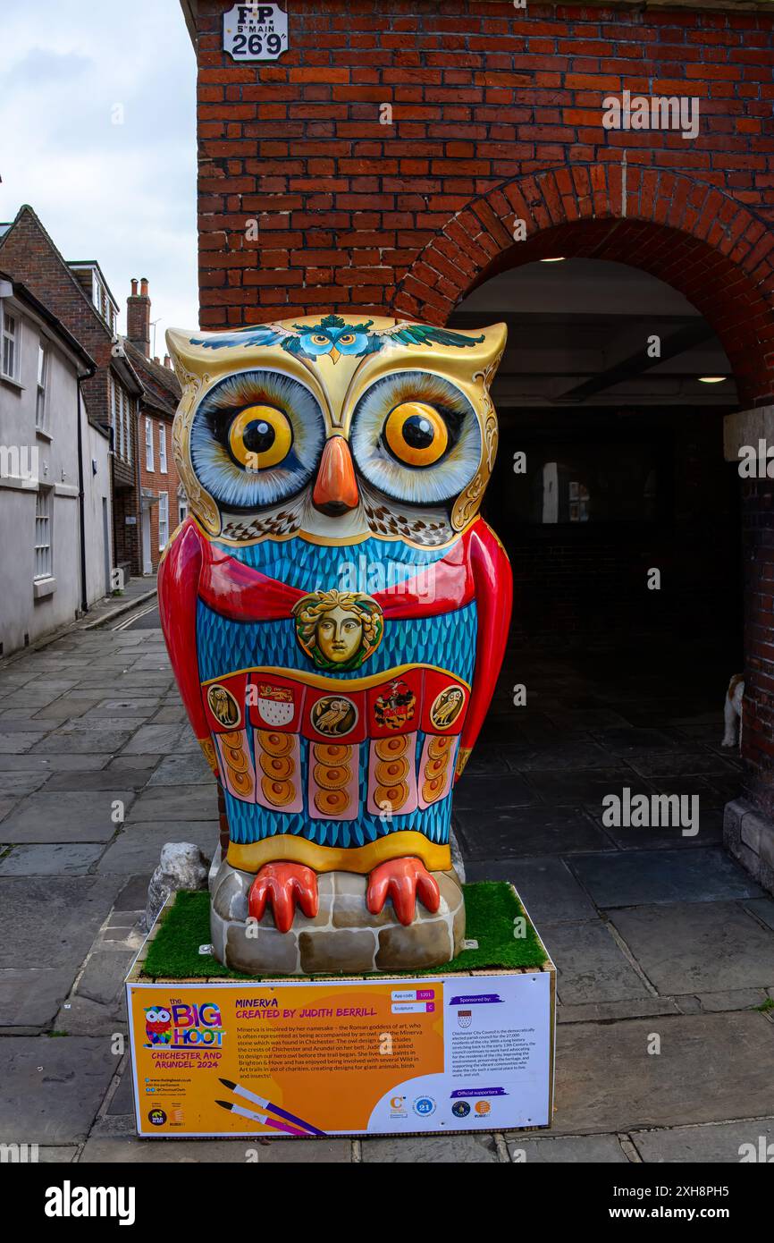 The Big Hoot Owl Sculpture Trail Chichester England a Wild in Art Event ...