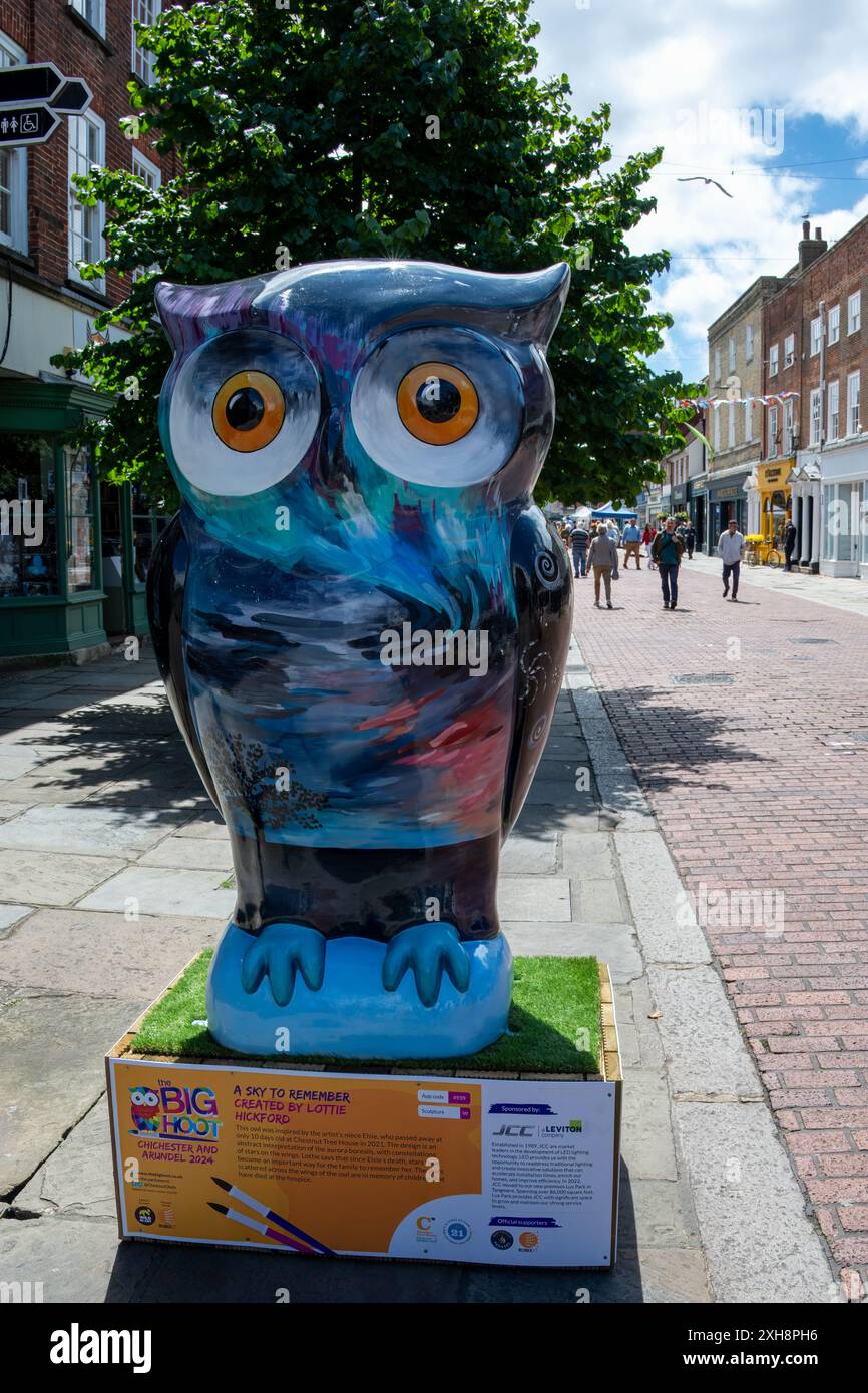 The Big Hoot Owl Sculpture Trail Chichester England a Wild in Art Event ...