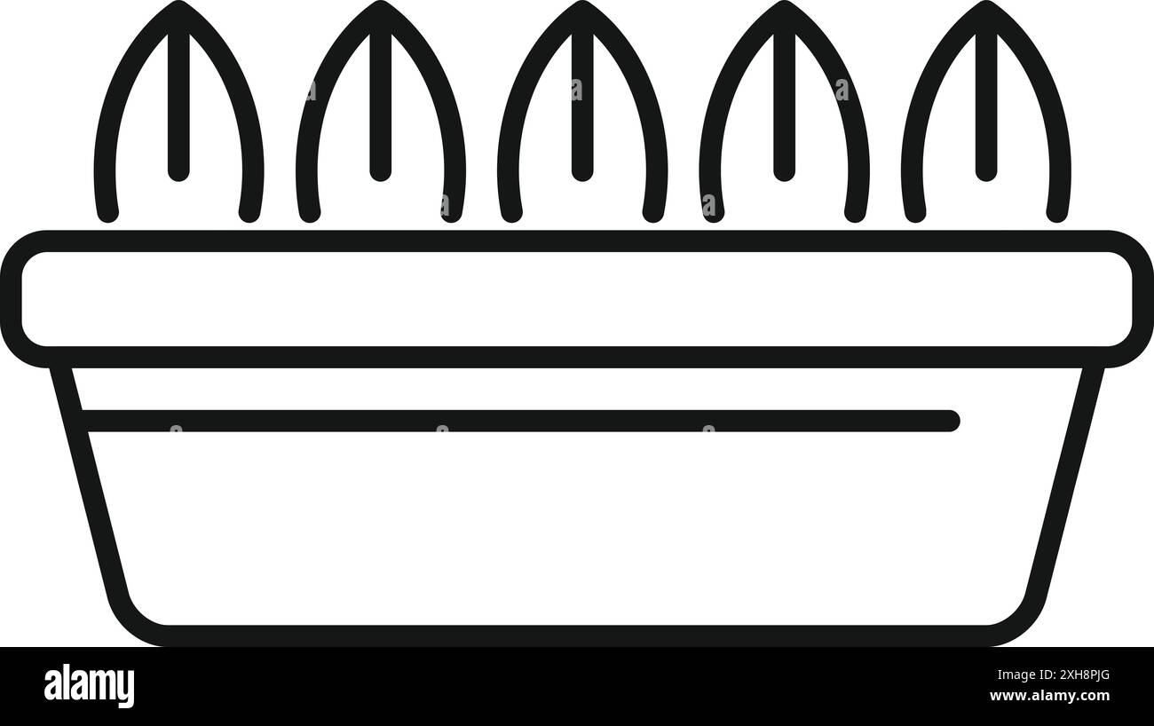 Rectangular plant pot holding five seedlings growing indoors Stock ...