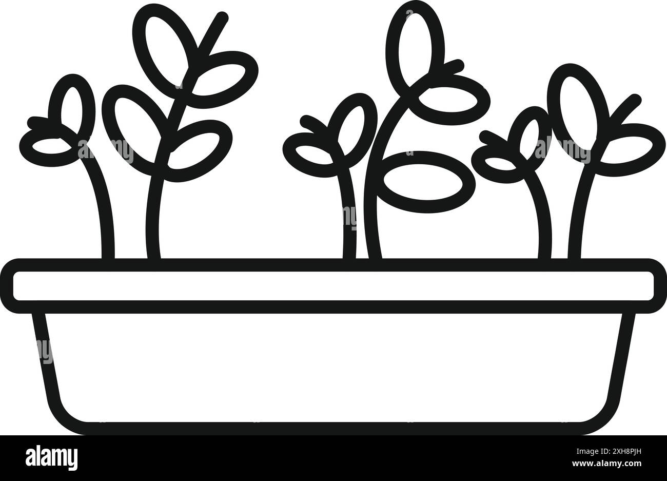 Simple line drawing of young plants growing in a seed tray Stock Vector ...