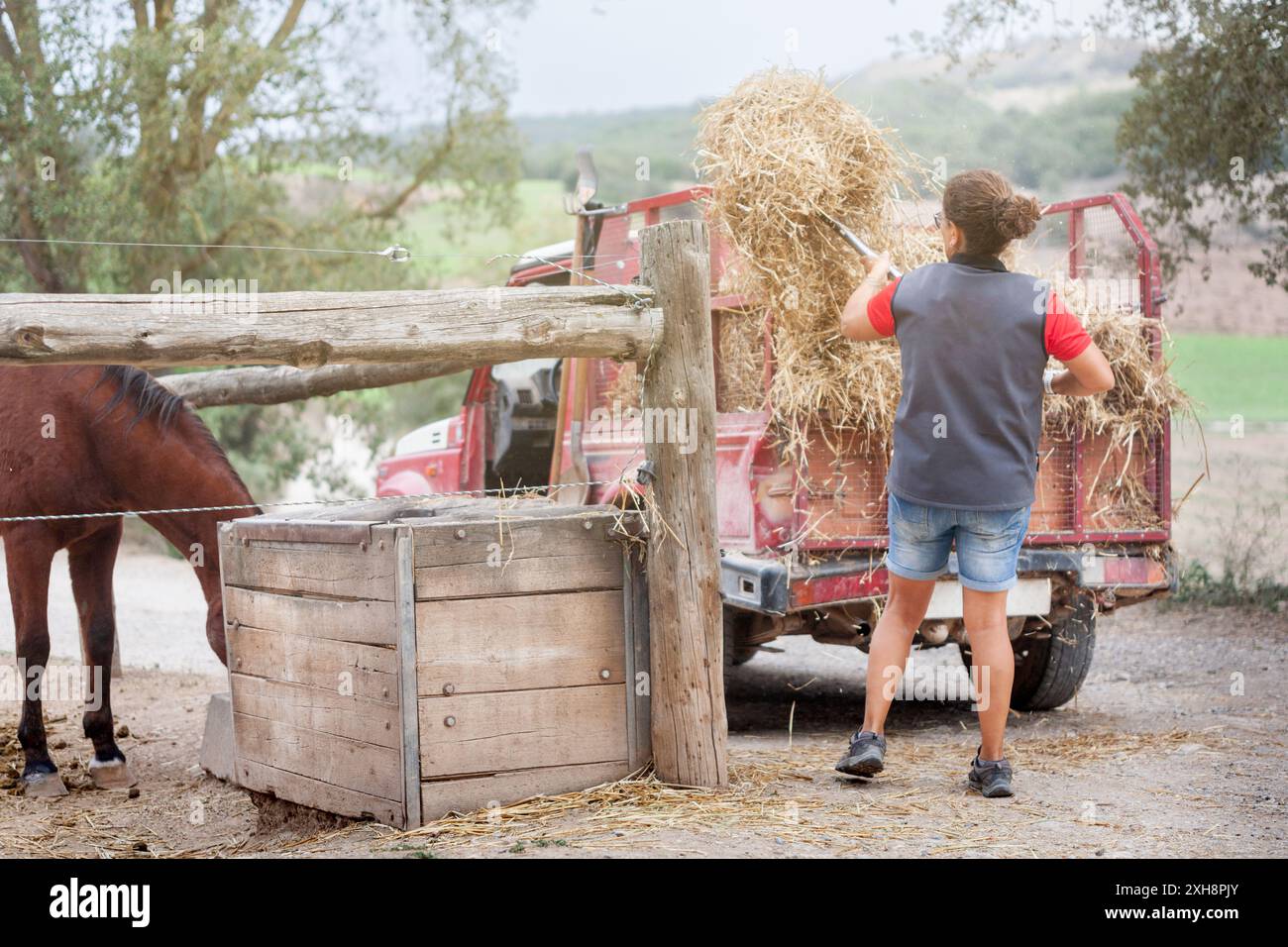 Woman entrepreneur manages her equestrian center. She delivers hay and ...