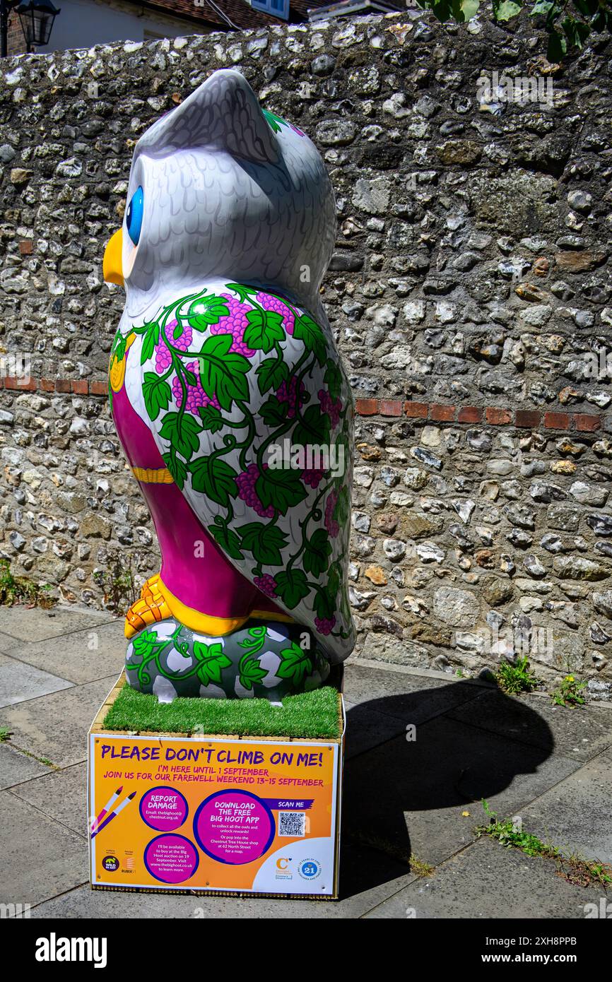 The Big Hoot Owl Sculpture Trail Chichester England a Wild in Art Event ...