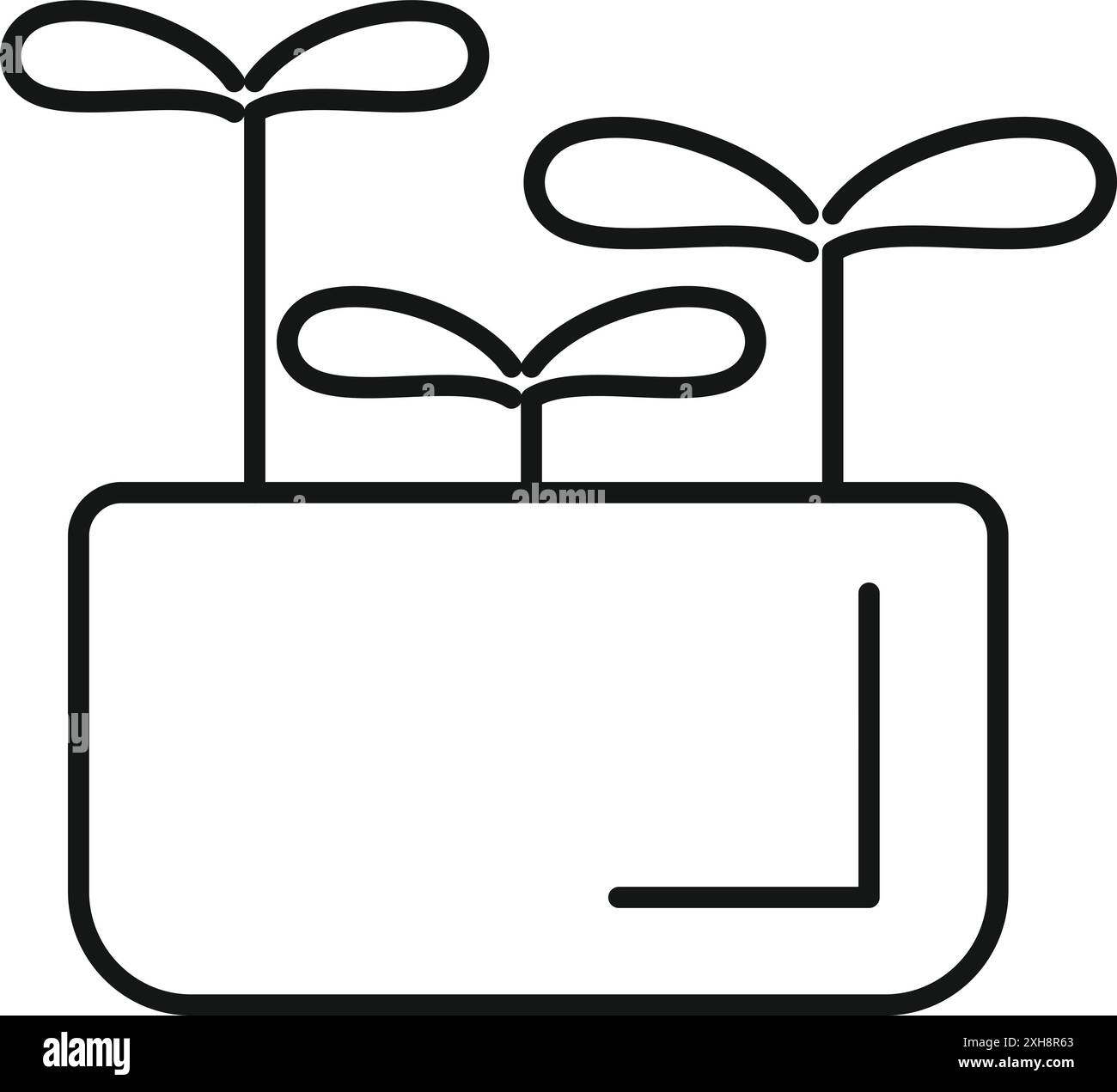 Growing indoor herb garden Stock Vector Images - Alamy