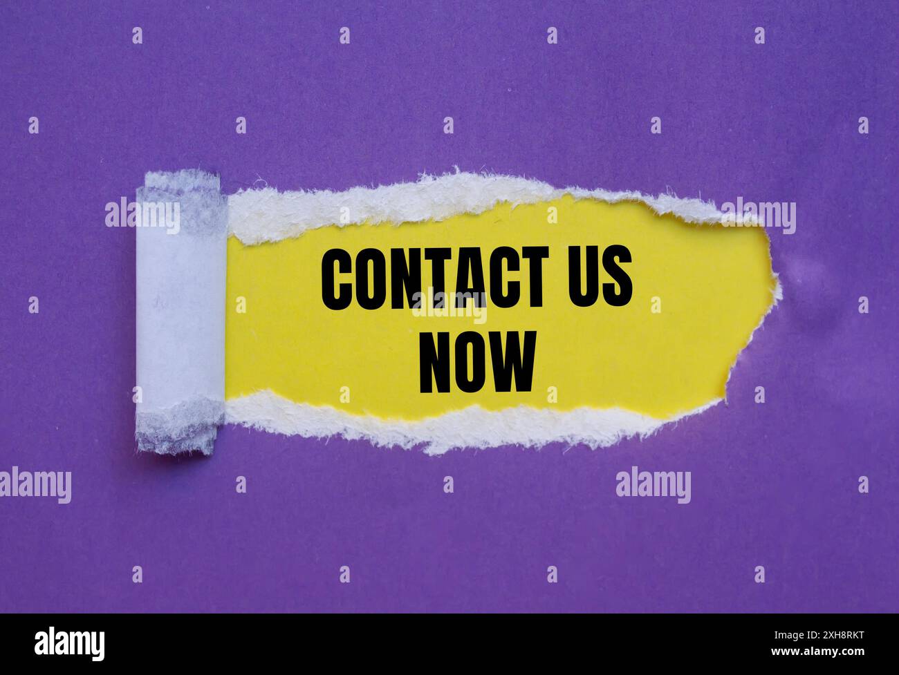 Contact us now message written on ripped torn purple paper with yellow background. Conceptual ...