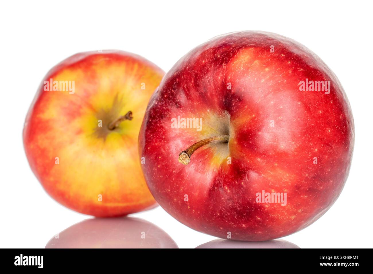 Two red apples, macro, isolated on white background Stock Photo - Alamy