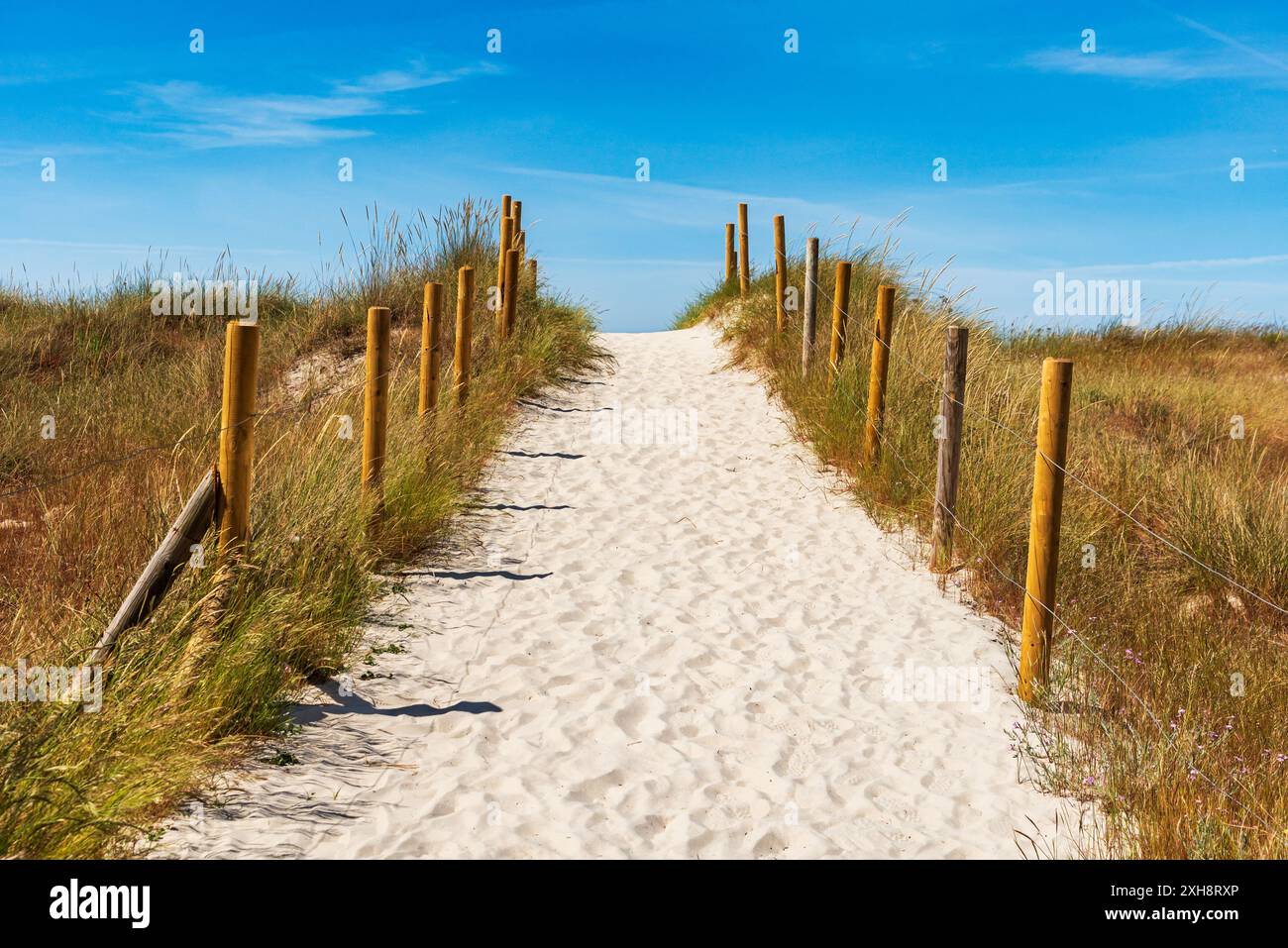 Fenced path on a fine sand dune that leads to Samil beach in Navia ...