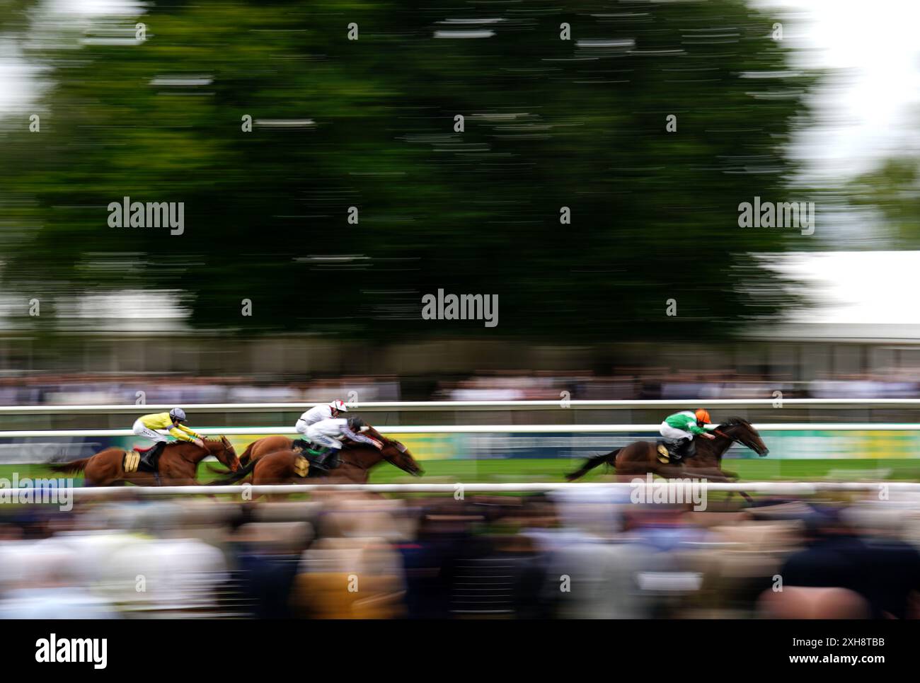 No half measures horse hi-res stock photography and images - Alamy