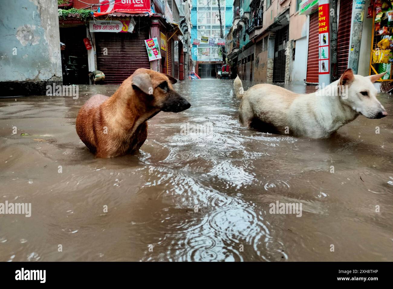 Dhaka rainfall hi-res stock photography and images - Alamy
